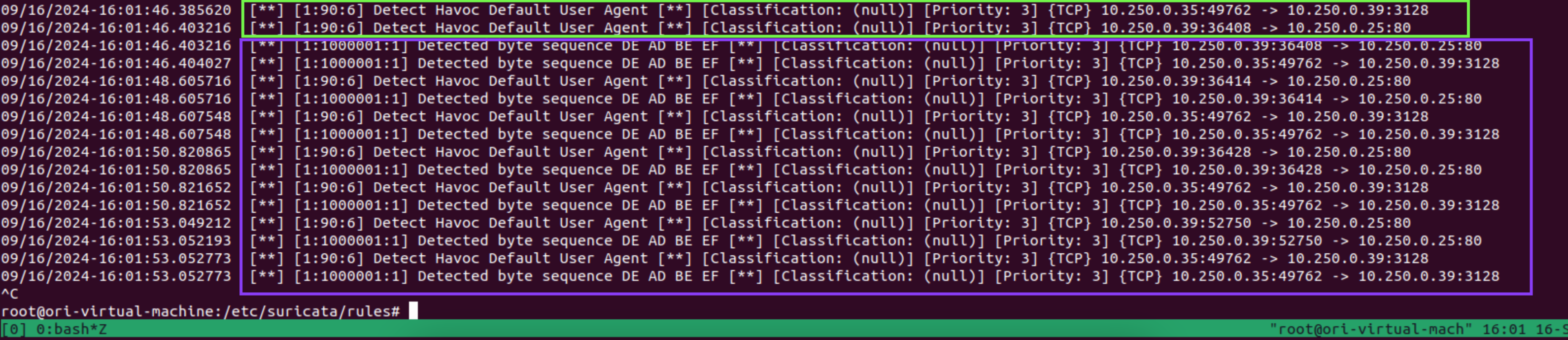 Red Teaming With Havoc C2 | YL-Labs Blog