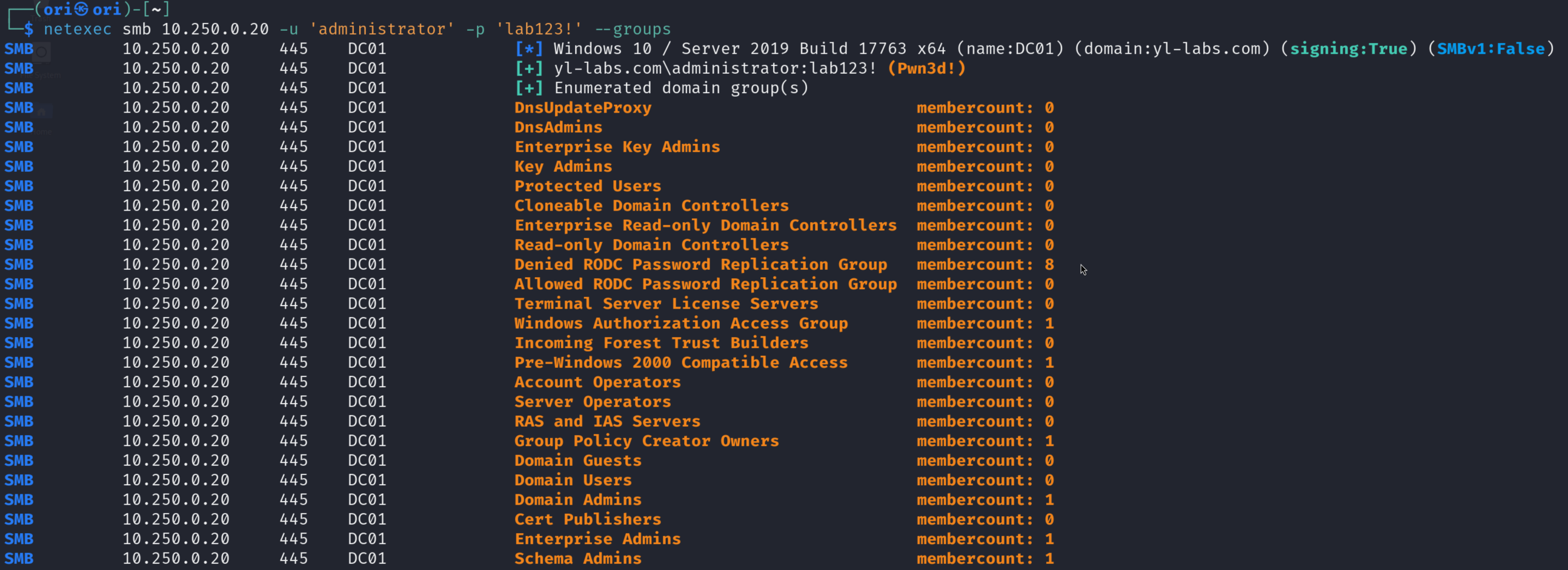 Netexec Mastery - Introduction | YL-Labs Blog
