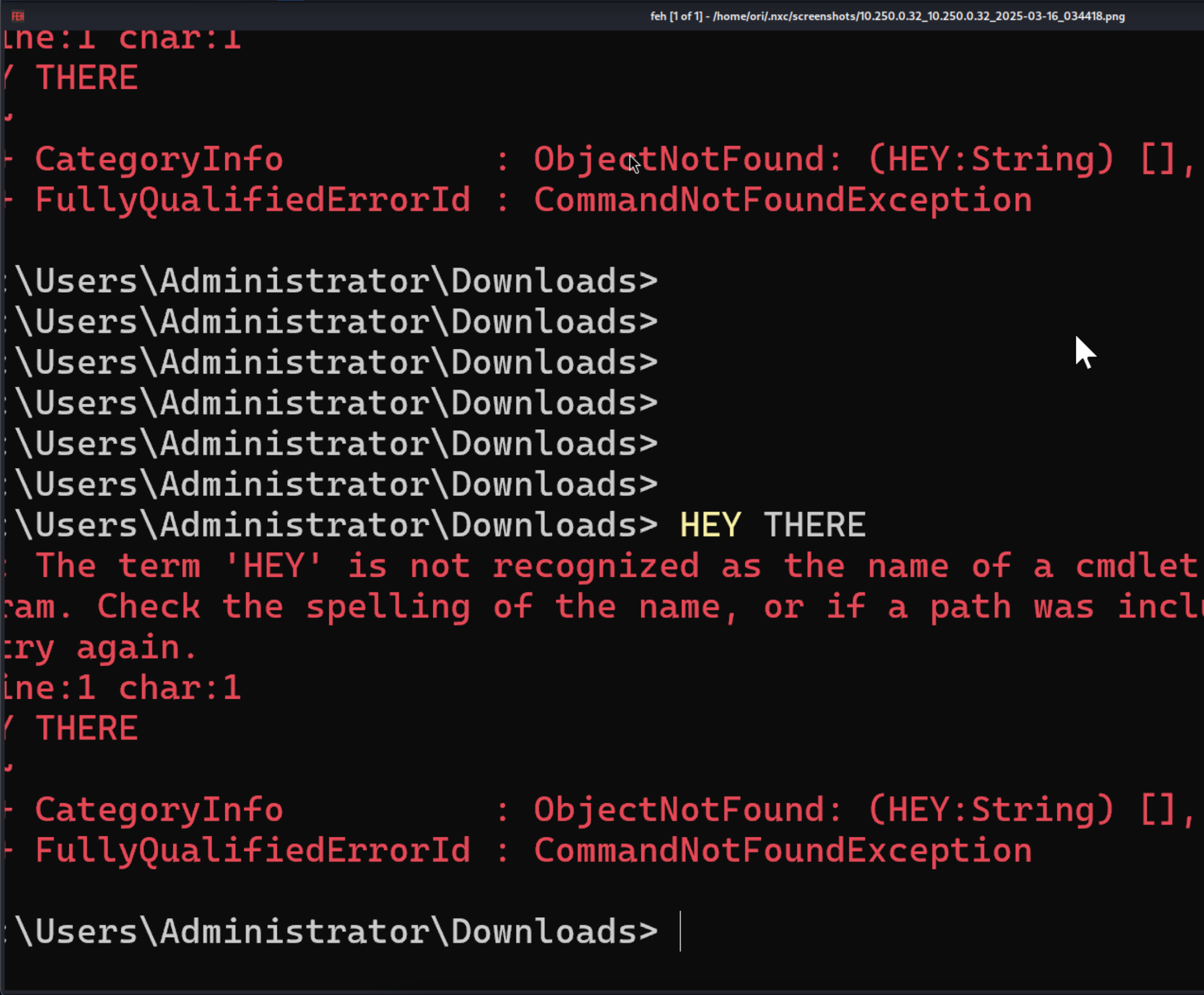 Netexec Mastery - Introduction | YL-Labs Blog