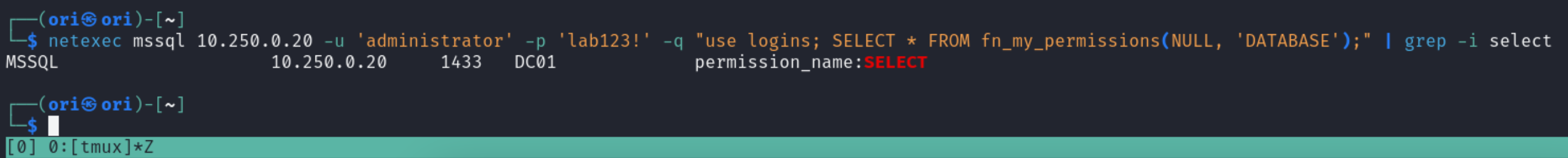 Netexec Mastery - Introduction | YL-Labs Blog